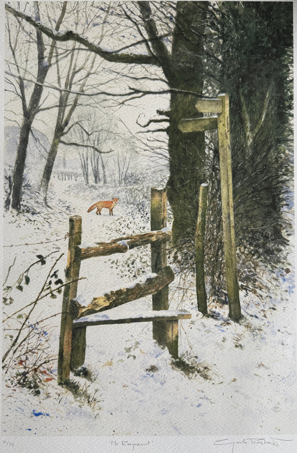 Mr Reynard - Francis Iles Gallery